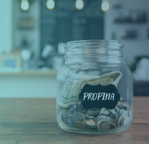 Ley N° 20243 - Aprobación de normas para la aplicación del cobro de ...